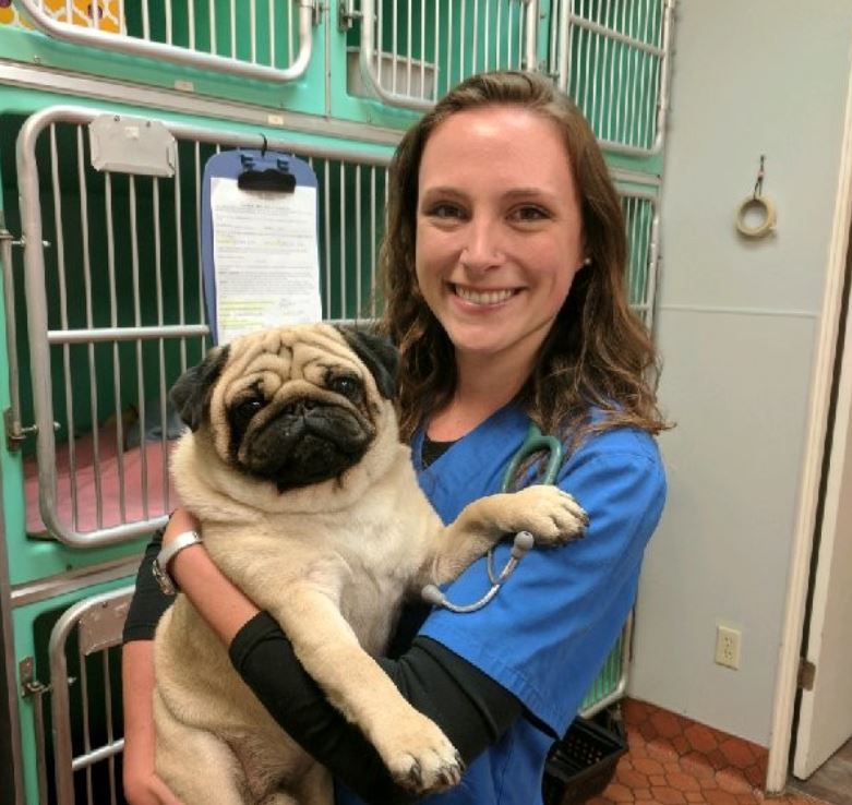 Dr. Baines - Seatown Vet